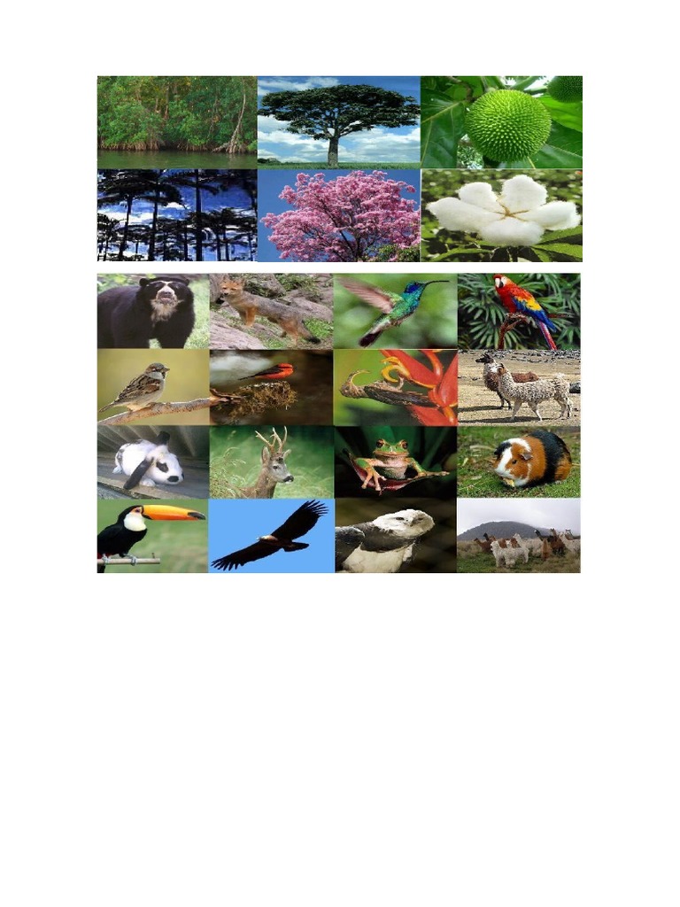 Flora y Fauna de La Costa | PDF