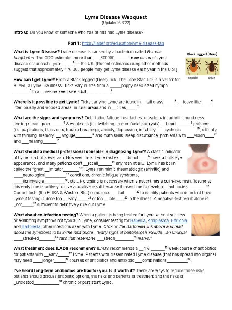 Lyme Disease Webquest | PDF