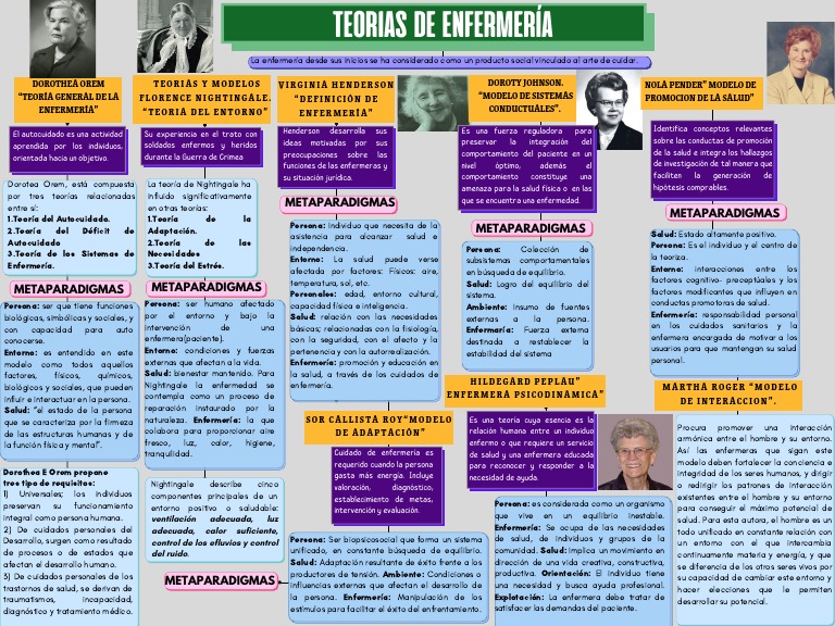 Teorias de Enfermería | PDF