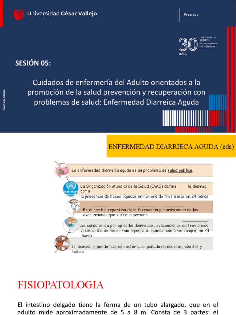 Sesion 5 | PDF | Diarrea | Especialidades Medicas
