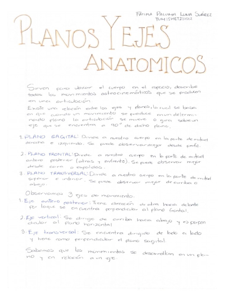 Planos y Ejes Fatima Luna | PDF