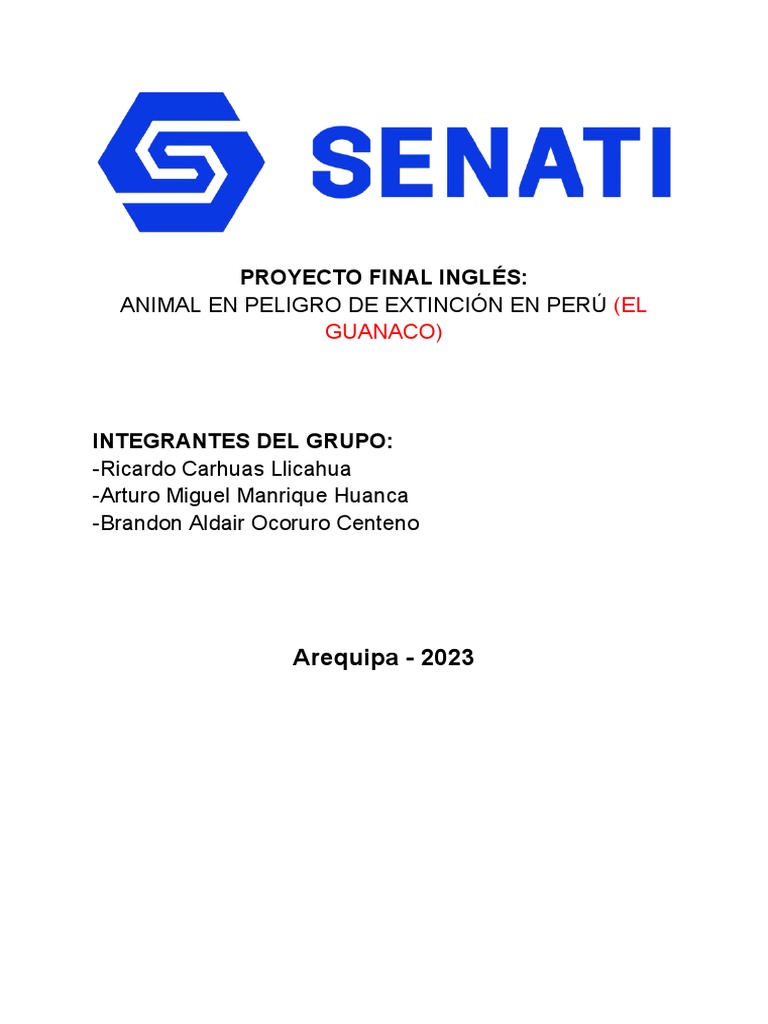 Informe de Proyecto Final | PDF