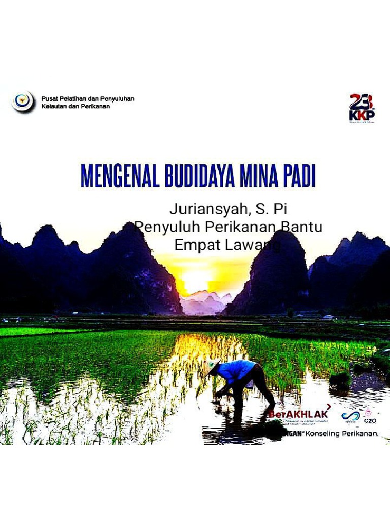 Mengenal Budidaya Mina Padi-Yokohama Fish-Juriansyah | PDF