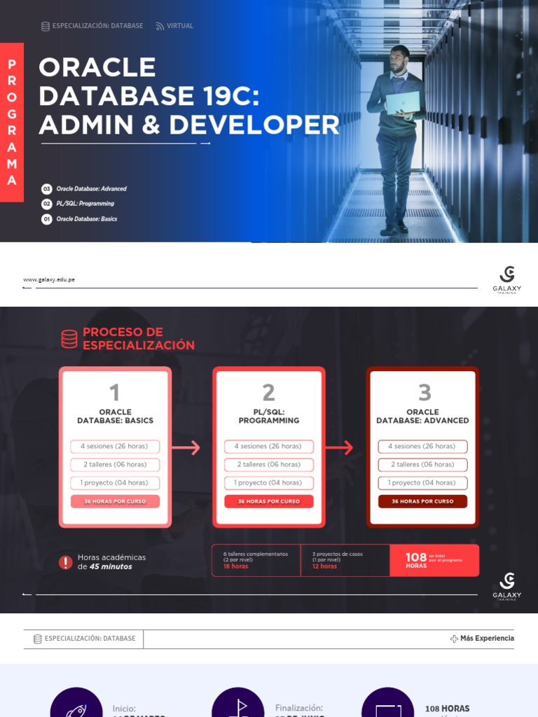 Temario - Pack PL SQL | PDF | Pl / Sql | SQL