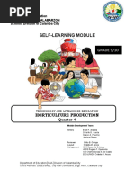 Sdo Aurora Tle10 Afa-Acp q4 m1 | PDF | Vegetables | Fruit