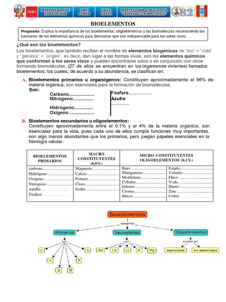 Importancia de los Bioelementos en la Vida | PDF | Calcio | Electrólito