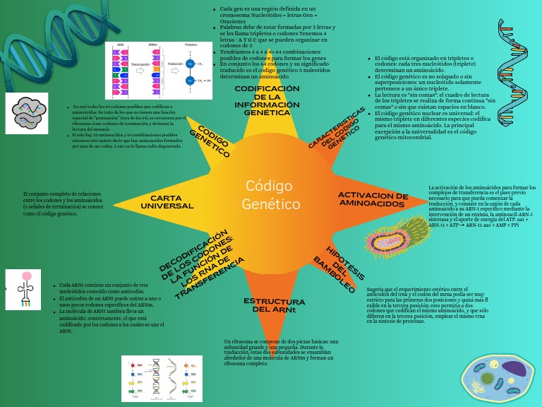 CODIGO GENETICO | PDF | Codigo genetico | Traducción (biología)