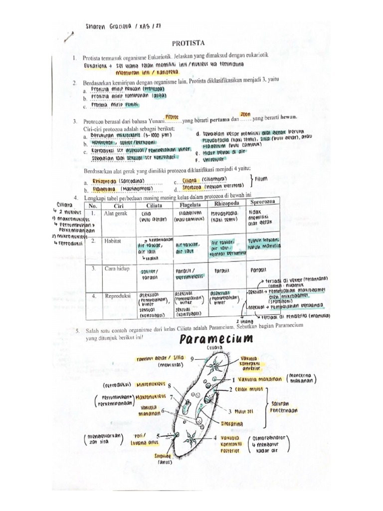 8 Protista | PDF