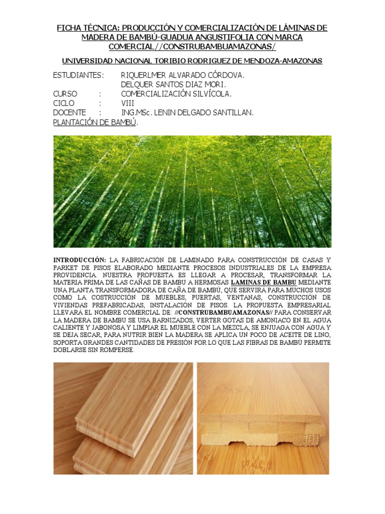Ficha Técnica Del Cultivo y Comercialización Del Bambu | PDF