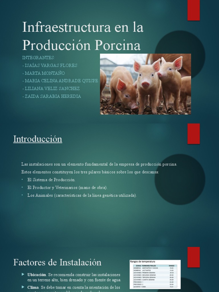 Infraestructura en la Producción Porcina | PDF | Agua | Cerdo