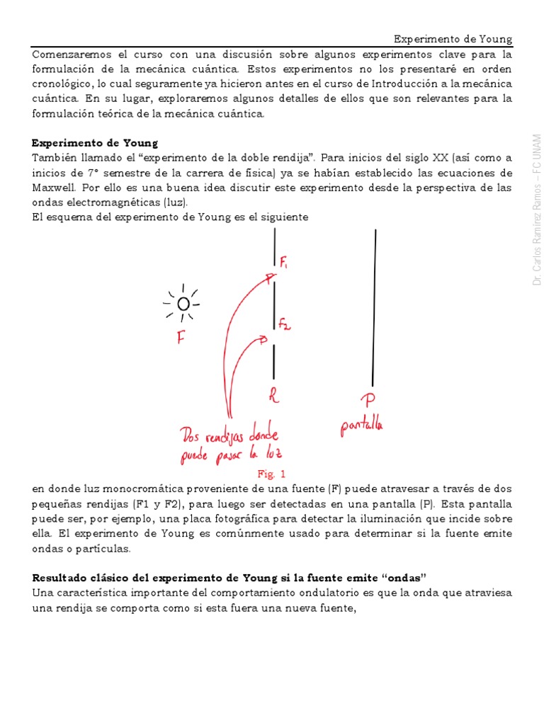 Experimento de Young y dualidad luz | PDF | Ligero | Atómico