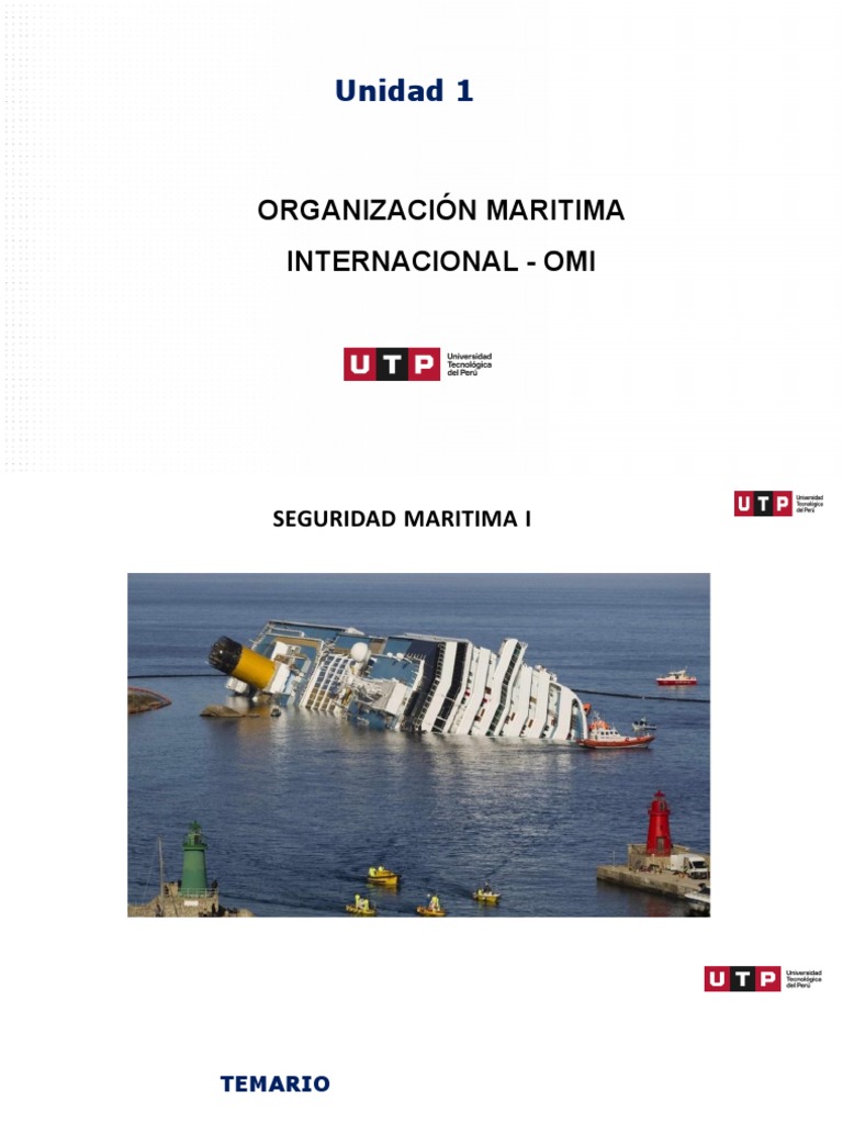 Seguridad Marítima y OMI: Temario Curso | PDF