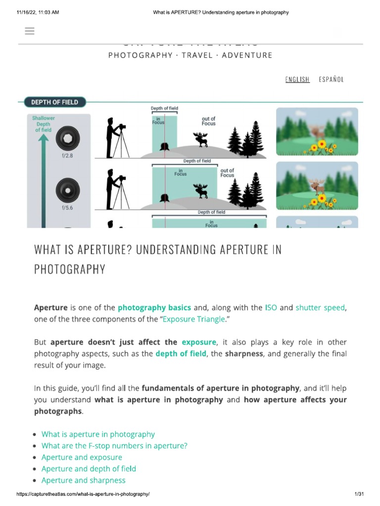 What Is Apperture | PDF