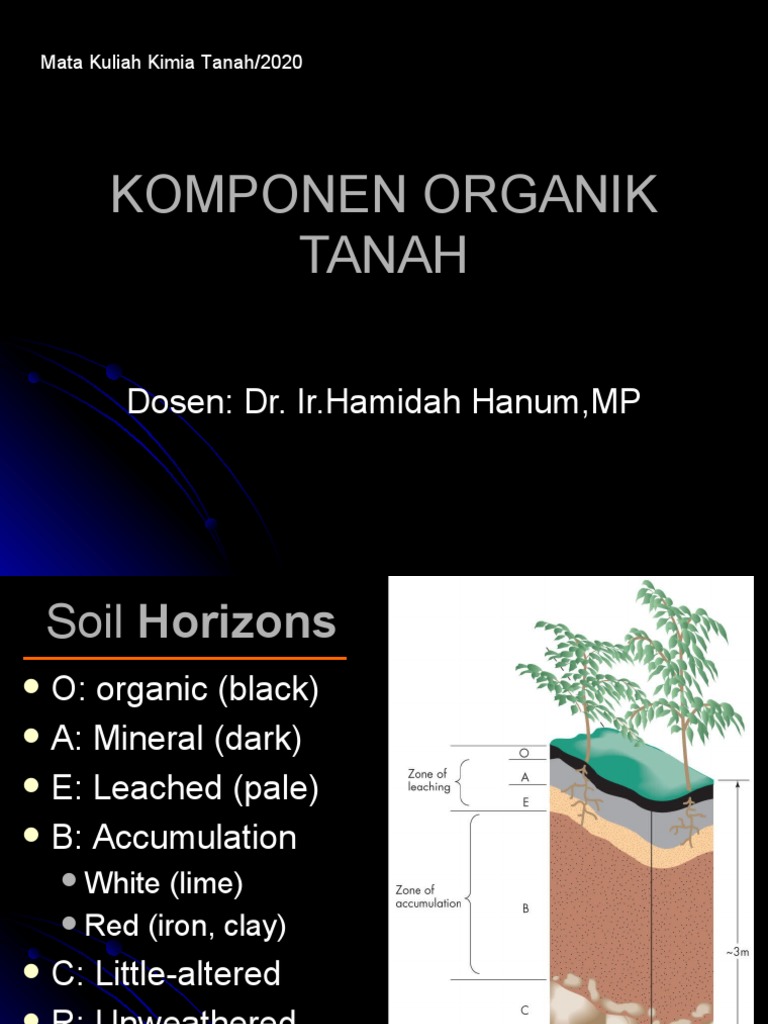 1.komponen Organik Tanah | PDF | Sains & Matematika
