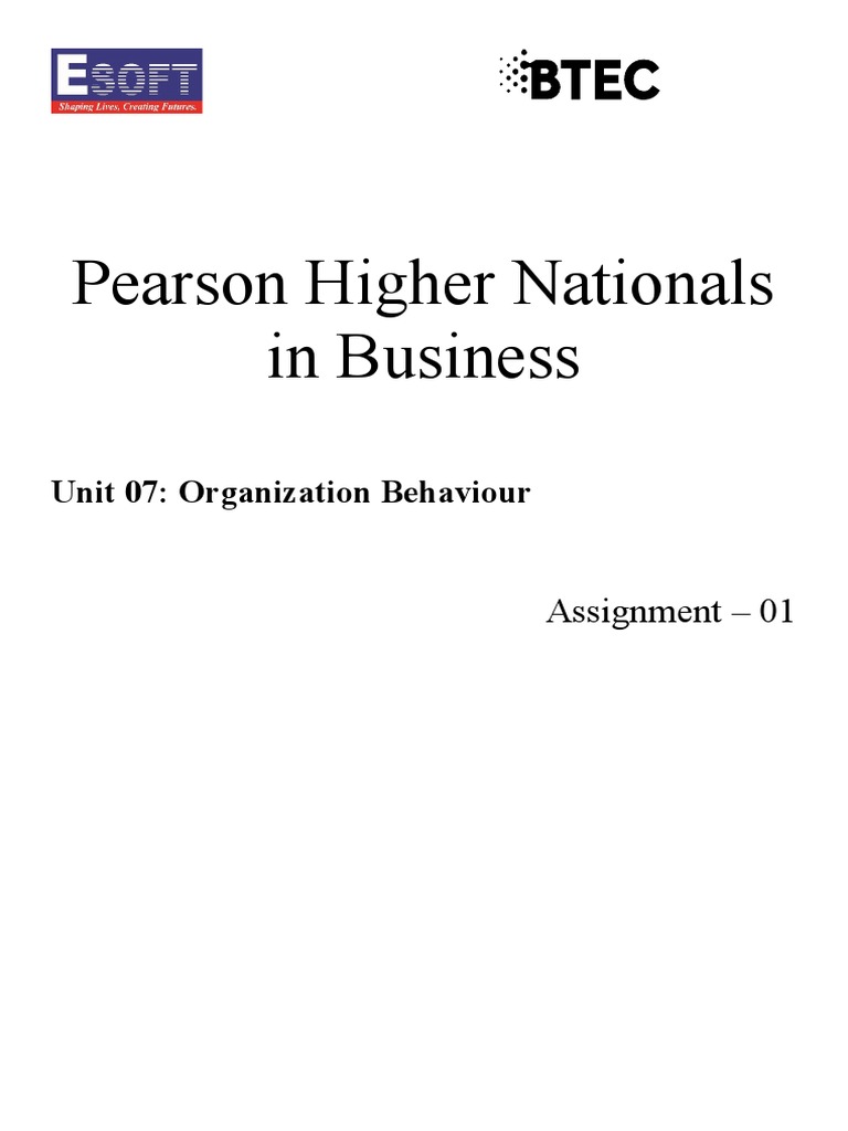 M.jeewa Prashan E165872 OB Assignment | PDF | Extraversion And Introversion | Motivational