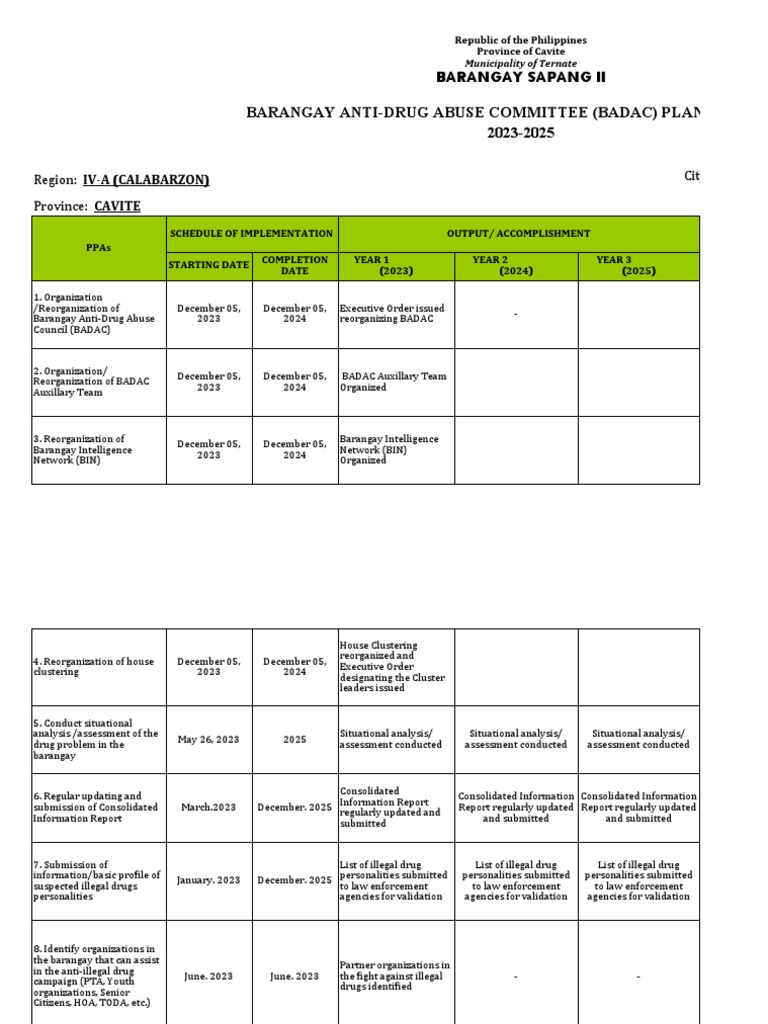 BADAC Plan of Action | PDF