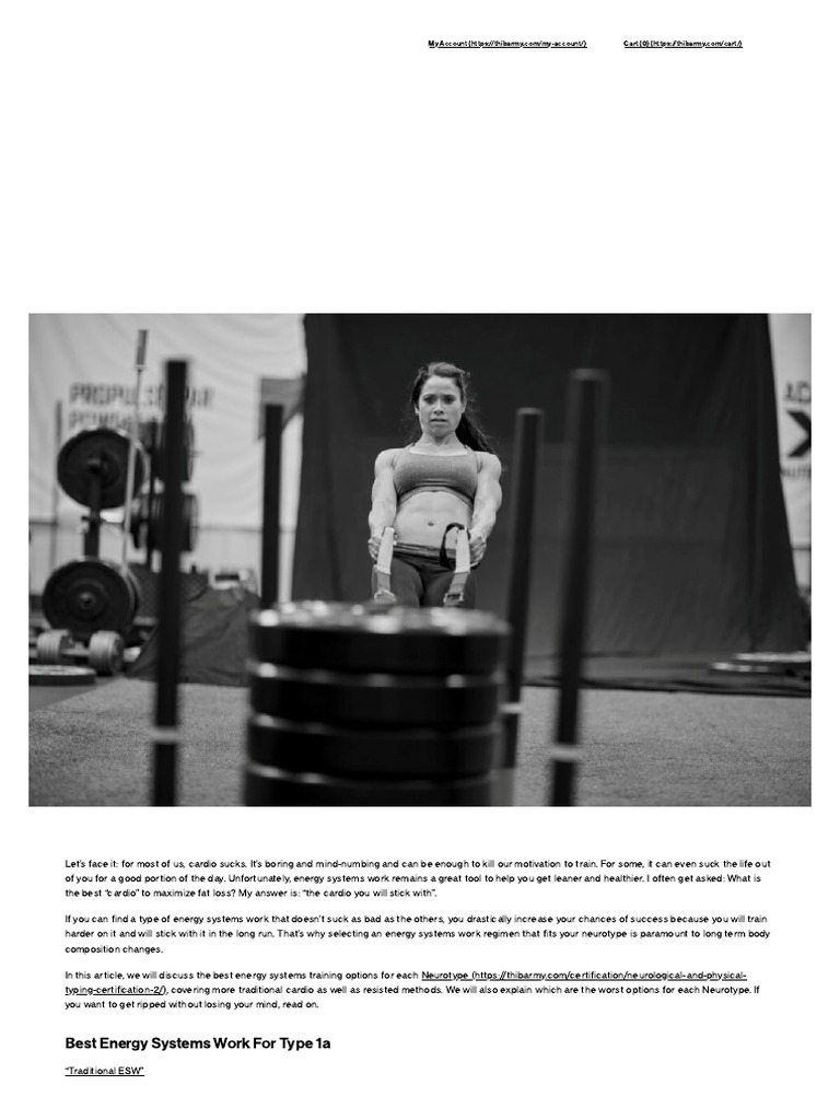 Thibarmy | PDF | High Intensity Interval Training | Aerobic Exercise