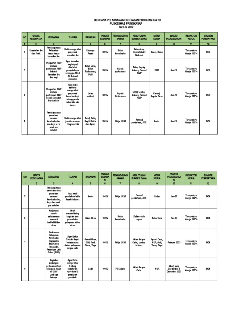 Rencana Pelaksanaan Kegiatan Program Kia KB 2022 | PDF