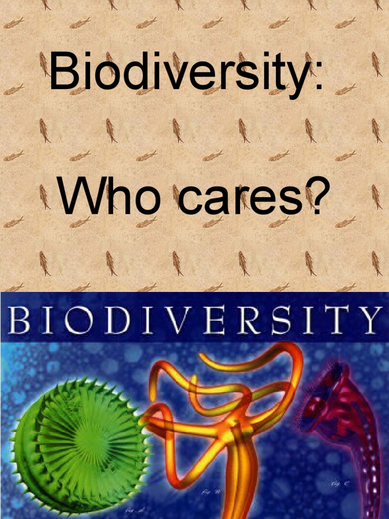 Biodiversity | PDF
