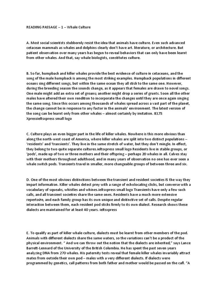 Ielts Reading Whale Culture | PDF | Cetacea | Whales