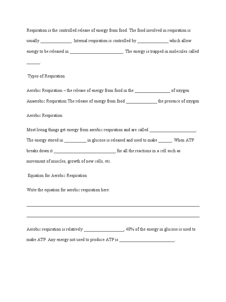 Respiration Worksheet | PDF
