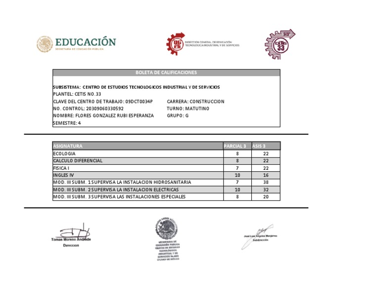 CETis 33 Plantilla | PDF