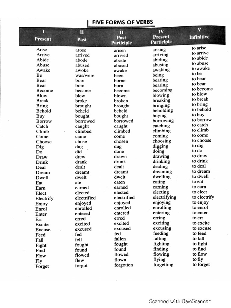 Daily Use Verbs (All Forms) | PDF