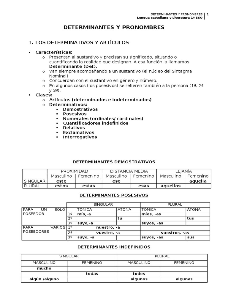Determinantes y Pronombres Actividades | PDF | Relaciones sintácticas ...