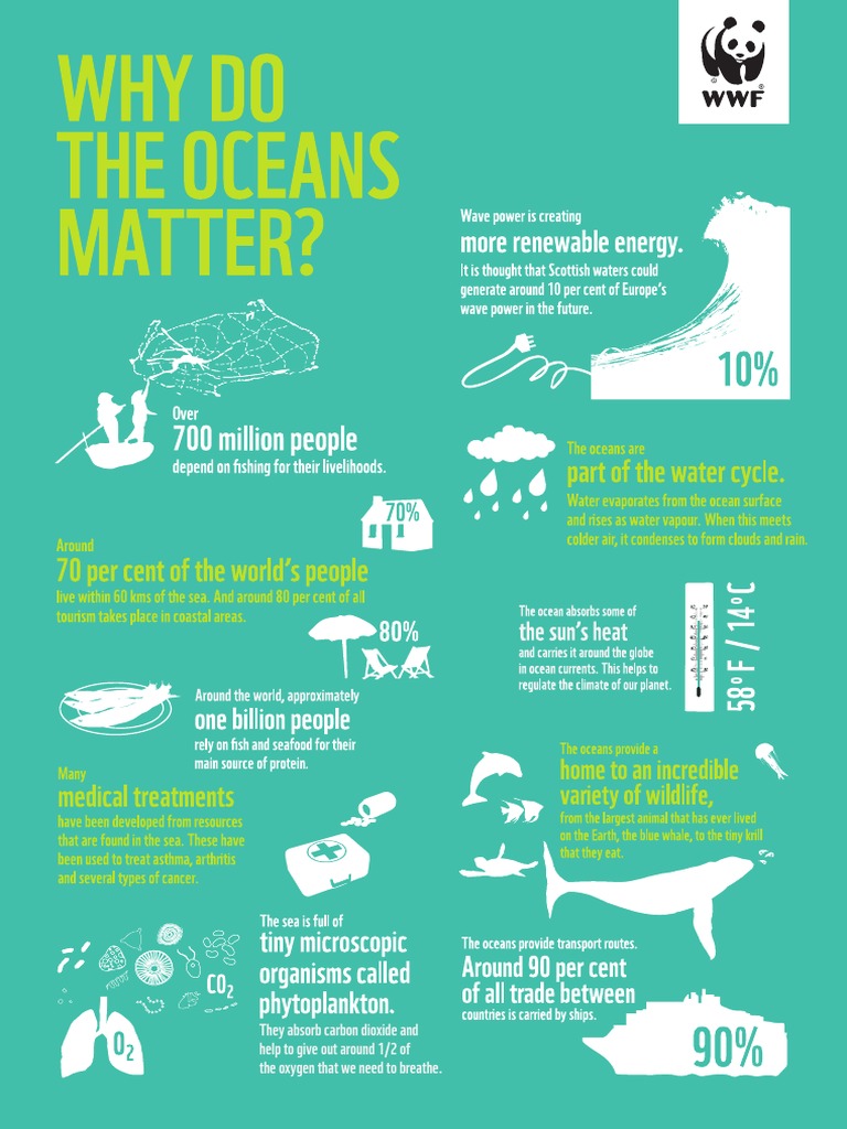 4 WWF - Oceans - and - Plastics - KS2 - Activities | PDF