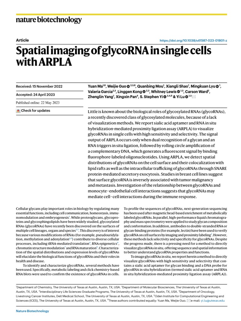 ARPLA for Imaging GlycoRNA in Cells | PDF | Biology | Biochemistry