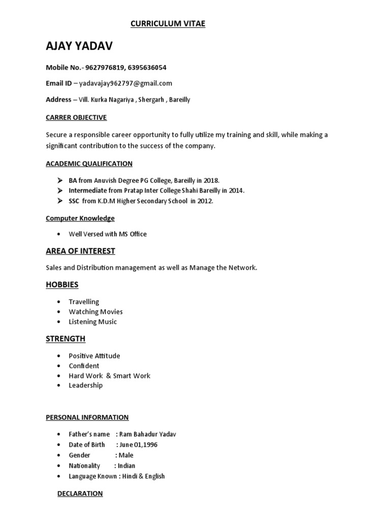 CV Ajay Yadav | PDF