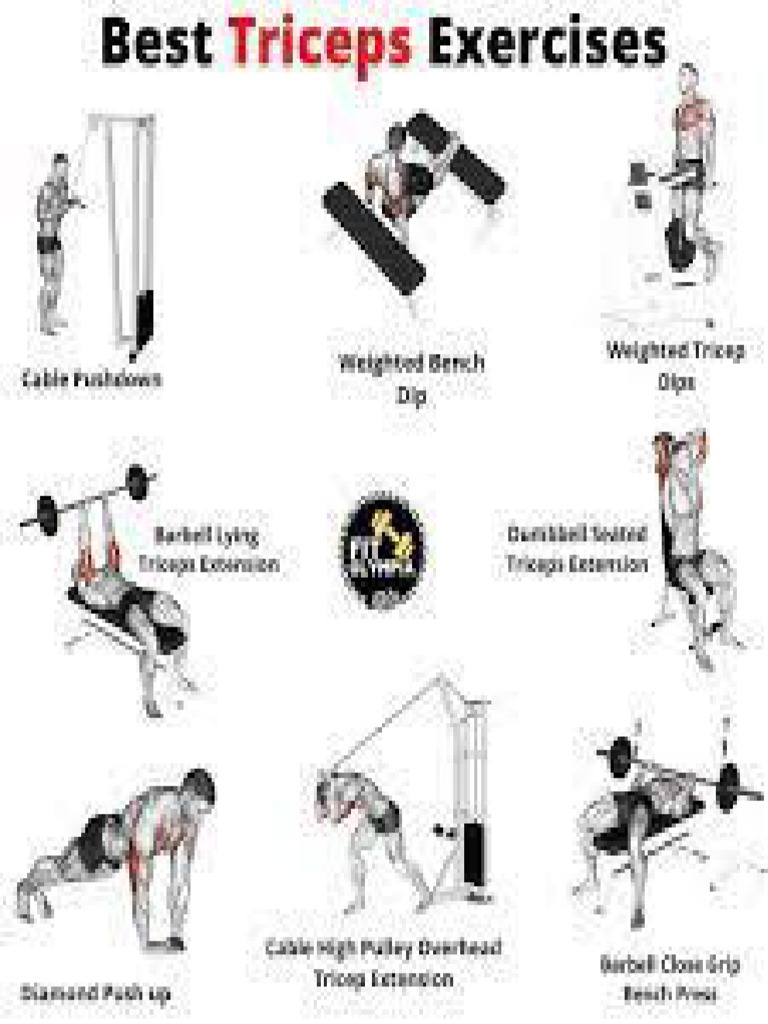 Triceps | PDF