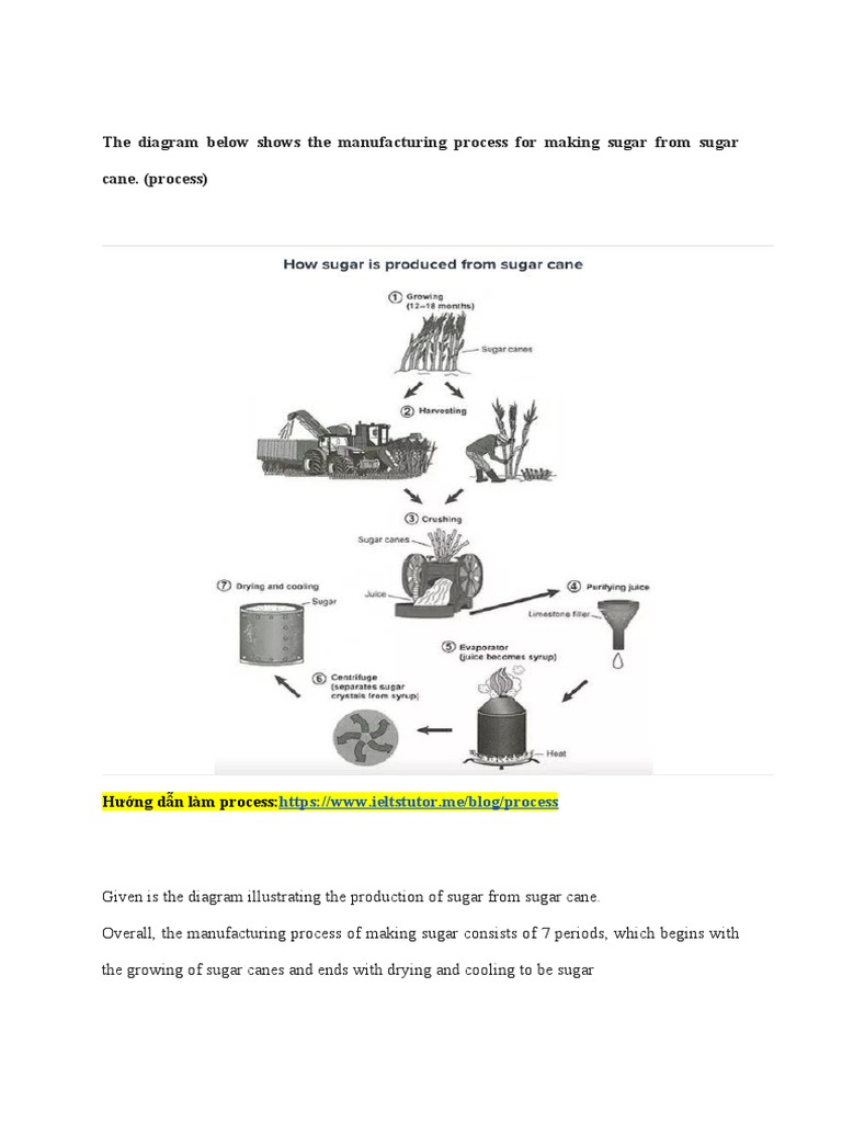 Sugar Cane Manufacturing Process | PDF