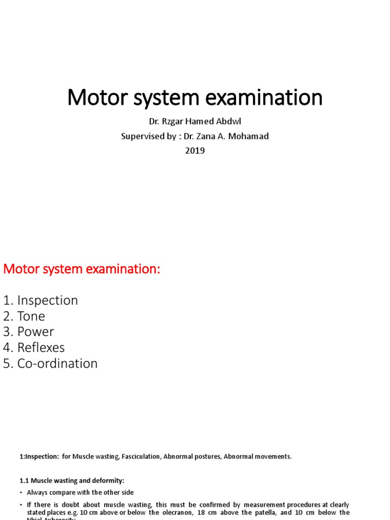 Motor System Examination Guide | PDF | Anatomical Terms Of Motion | Hand