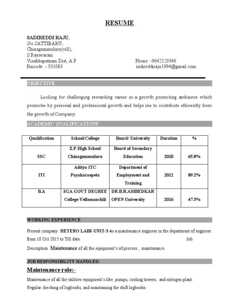 Raju Resume | PDF