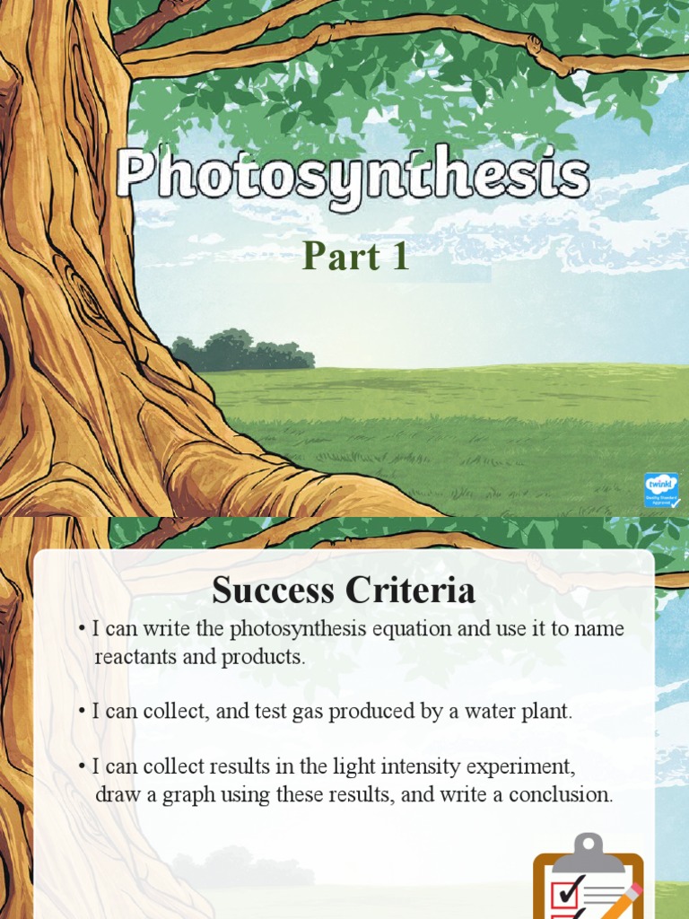 Photosynthesis Part 1 | PDF | Photosynthesis | Plants
