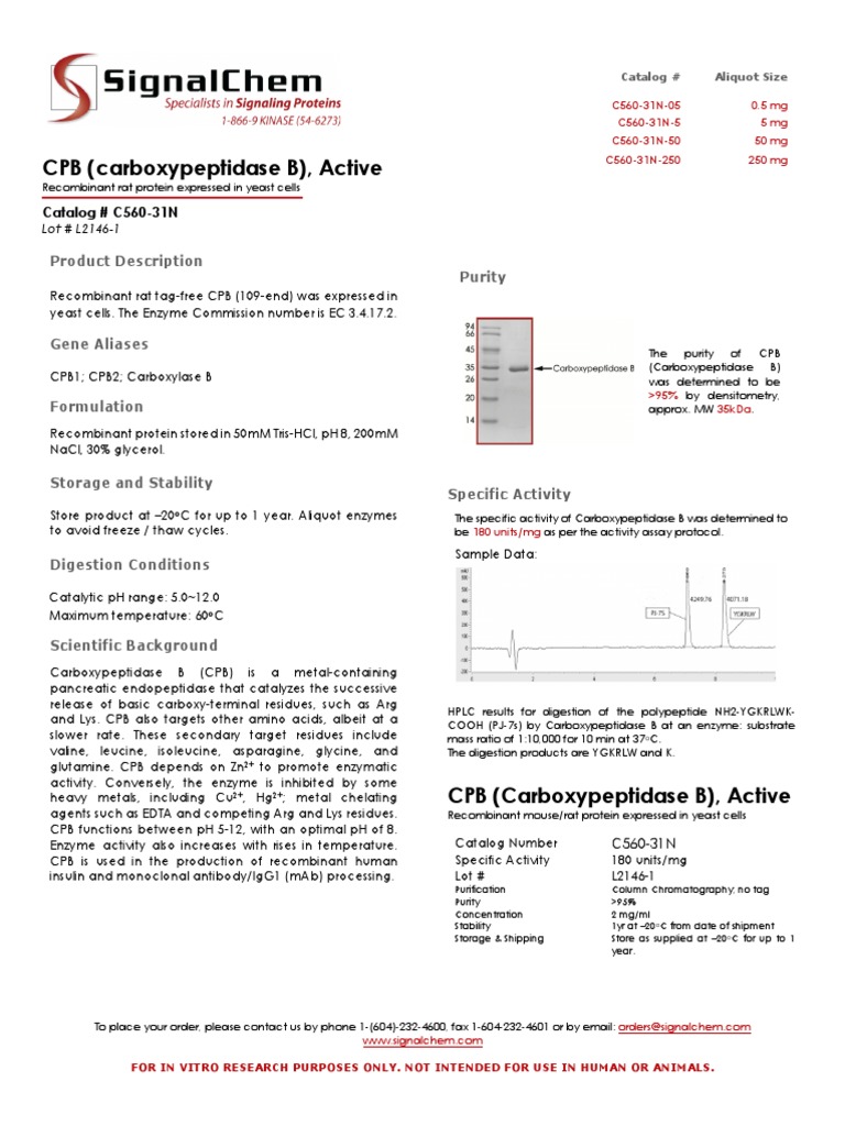 CPB (Carboxypeptidase B), Active: Catalog # C560-31N | PDF | Monoclonal ...
