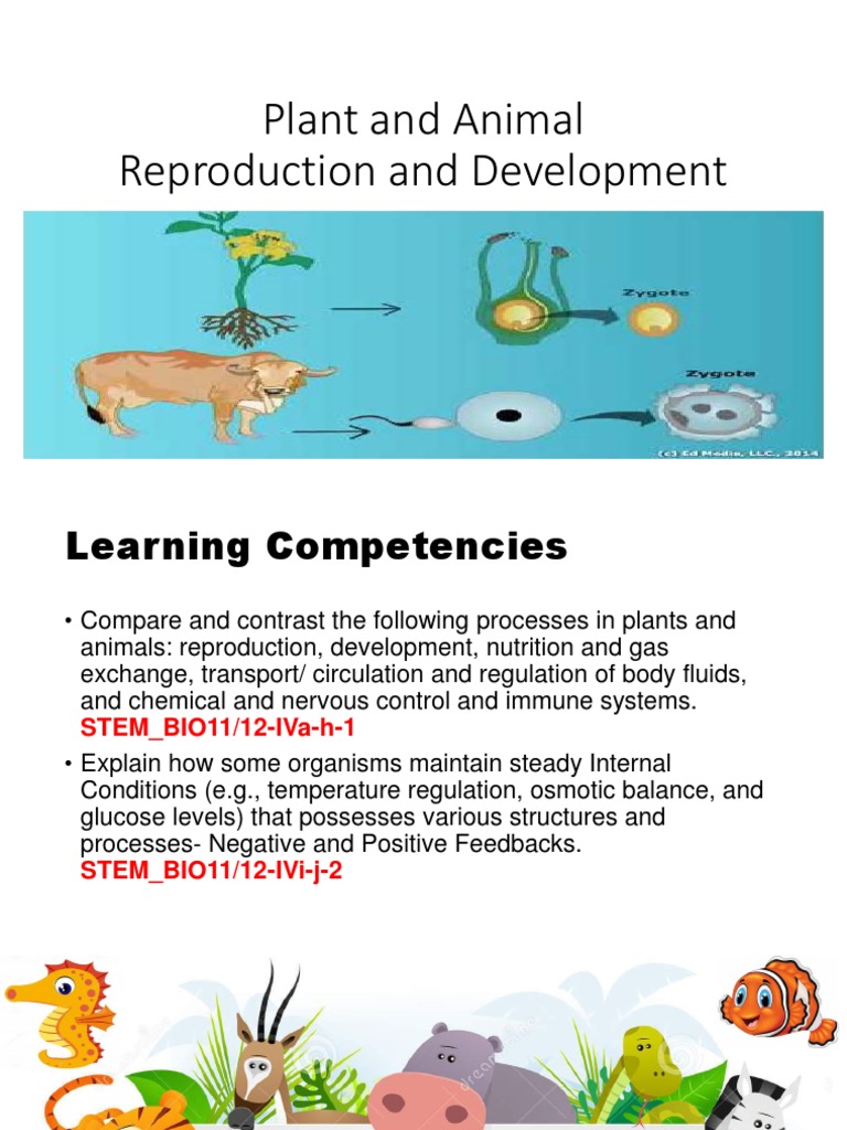 Plant and Animal Reproduction Overview | PDF | Reproduction | Childbirth