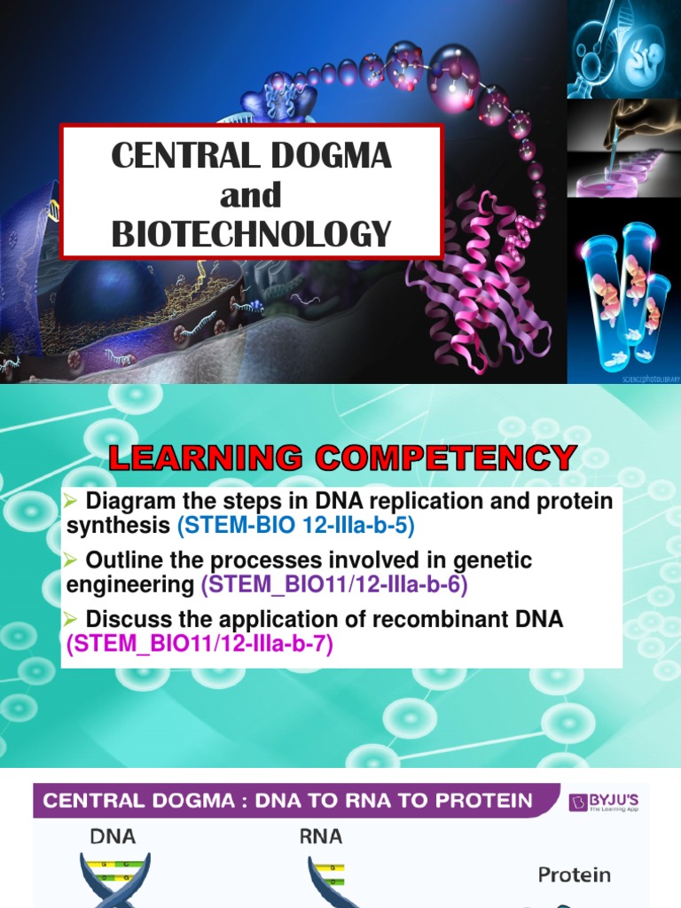 Genbio - Unit 2 - Genetics - L3 - Central Dogma and Biotechnology | PDF ...