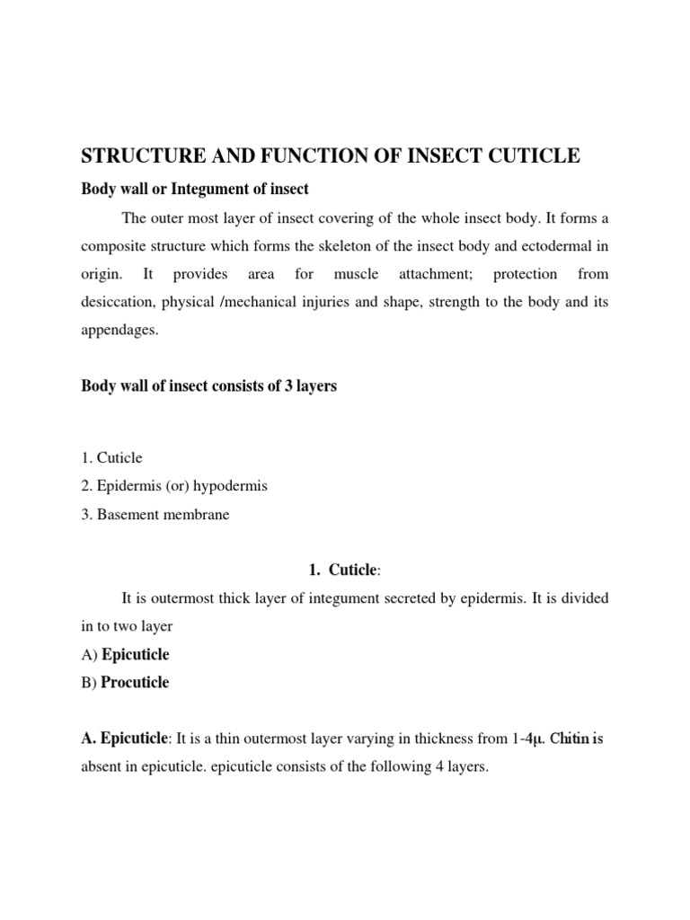 Cuticle | PDF | Anatomy | Zoology