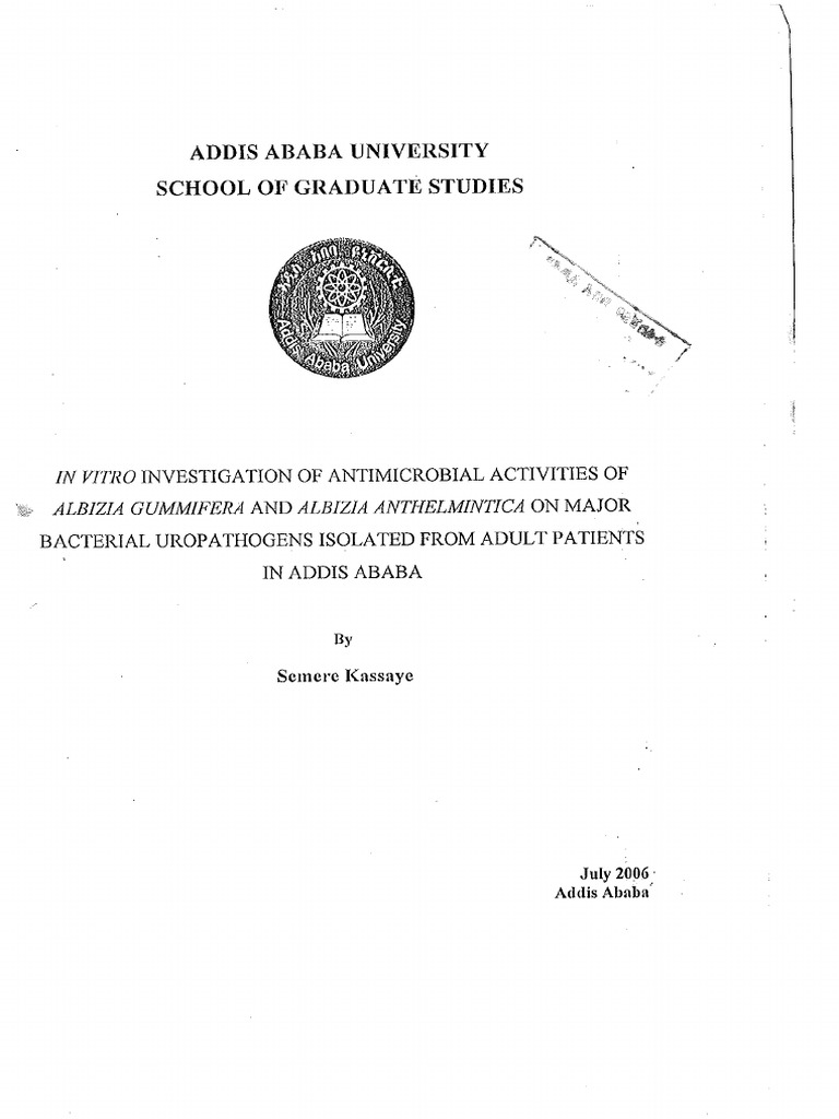 Semere Kassaye | PDF