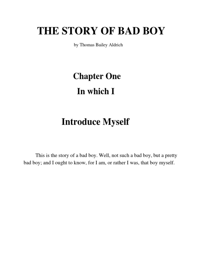 The Story of Bad Boy (Project File) | PDF