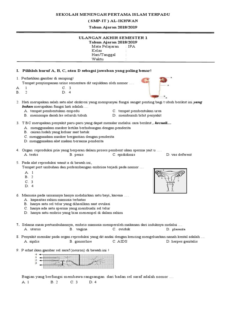Ulangan IPA SMP-IT Al-Ikhwan 2018/2019 | PDF