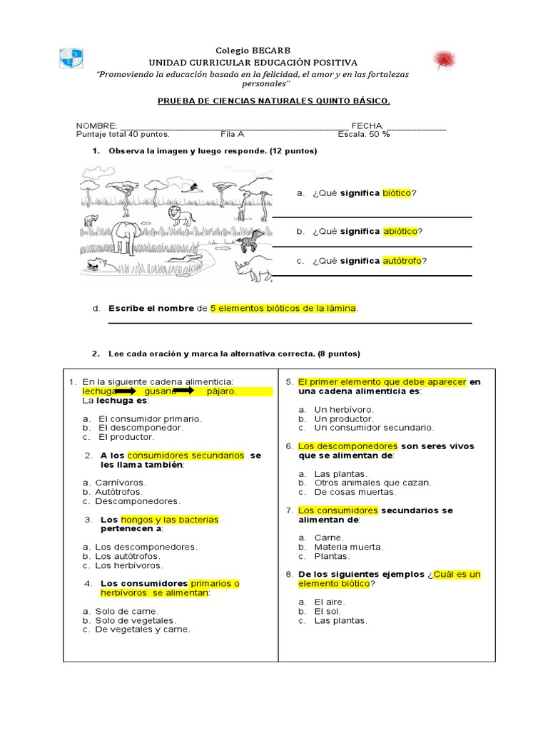 PRUEBA Ciencias 5to | PDF | Plantas | Naturaleza