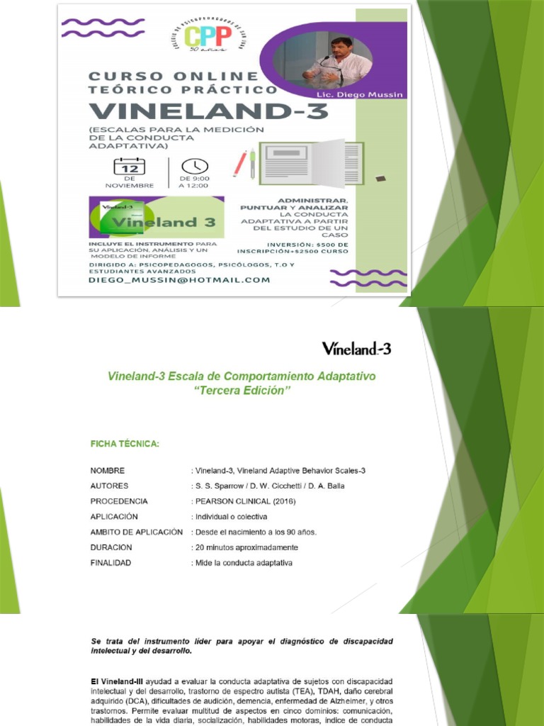 Vineland 3 | PDF | Discapacidad intelectual | Desorden hiperactivo y deficit de atencion