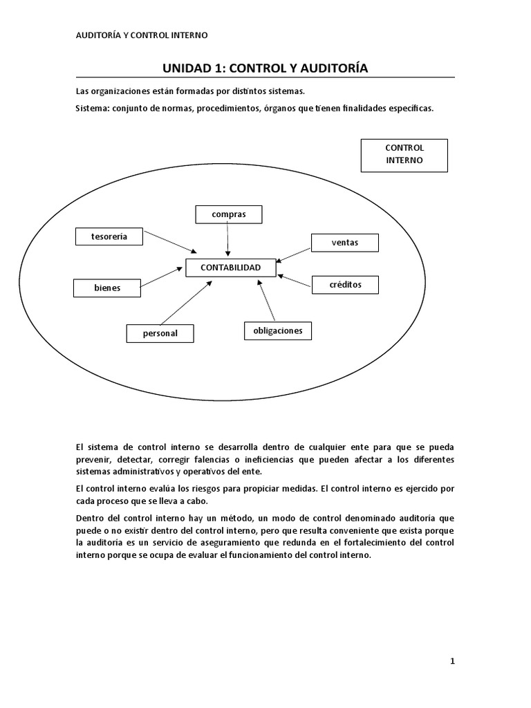 AUDITORÍA Y CONTROL INTERNO Apuntes | PDF | Auditoría | Planificación