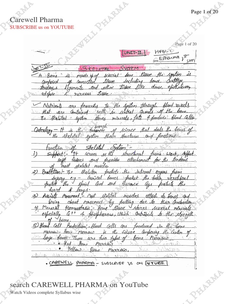 U2 Hap 1 Skeletal Joints Pdf Media Sharing You Tube