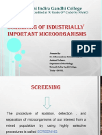 Mold Morphology and Structure Overview | PDF | Mold | Fungus