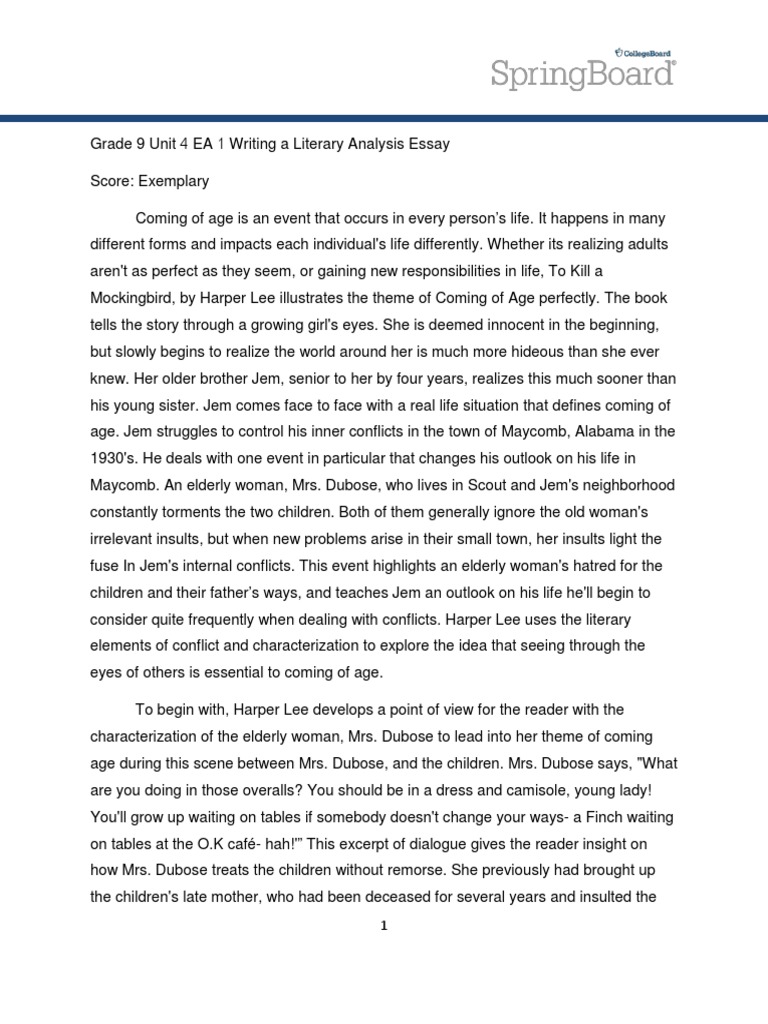 Exemplary Lit Analysis Pdf 8687