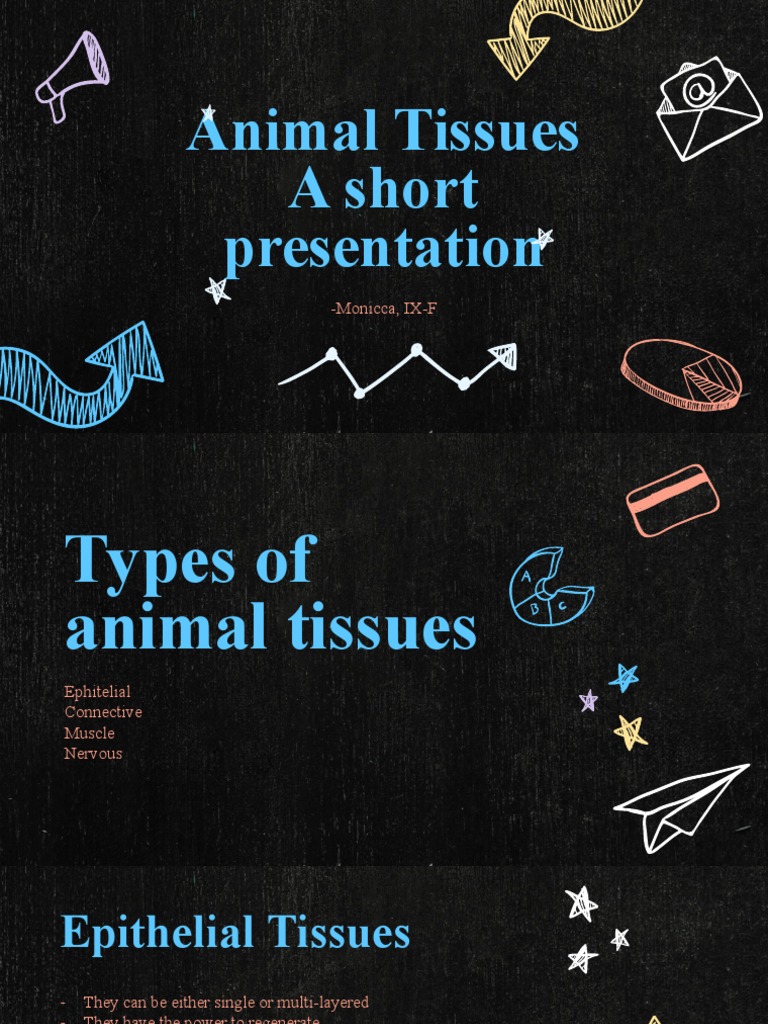 Biology Animal Tissue | PDF
